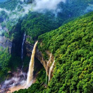 Book SATKOSIA TIGER RESERVE Tour Package - Hillstarholidays